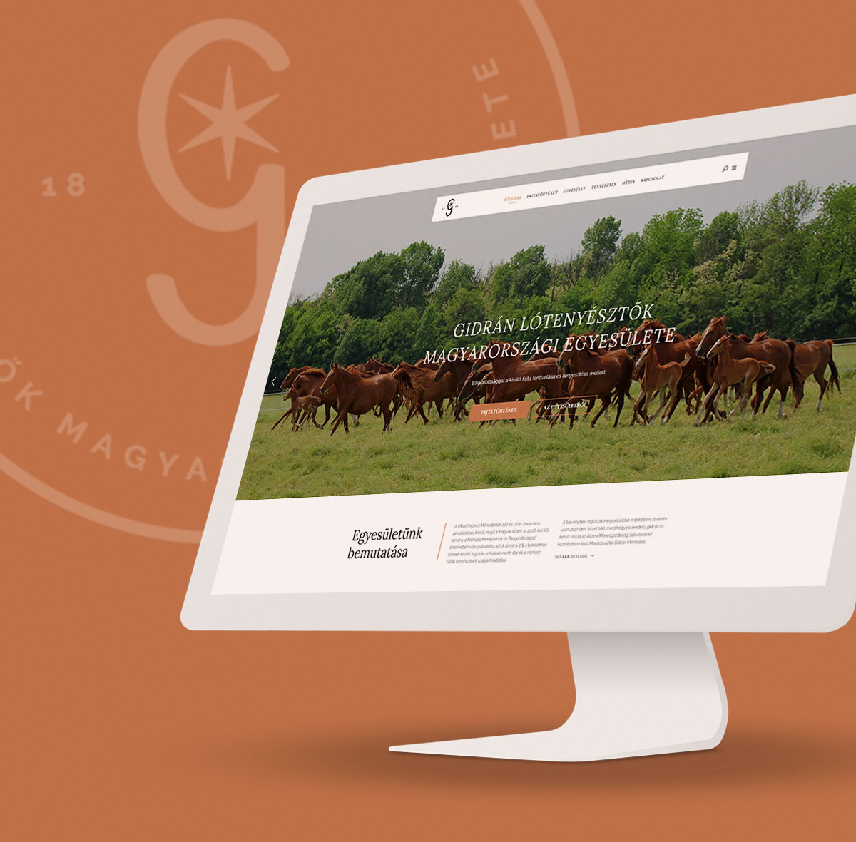 Gidrán Egyesület - Studijó